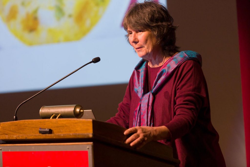 Gulf of Mexico expert discusses “Dead Zone” – Gulf Hypoxia