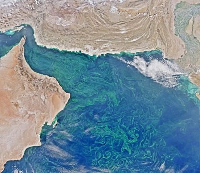 World’s largest ‘dead zone’ discovered, and it’s not in the Gulf of ...