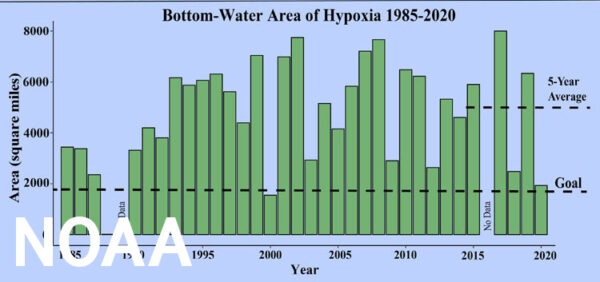 Smaller-than-expected Gulf of Mexico ‘dead zone’ measured – Gulf Hypoxia