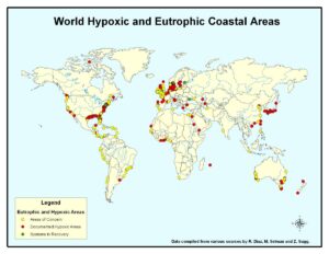 About Hypoxia – Gulf Hypoxia