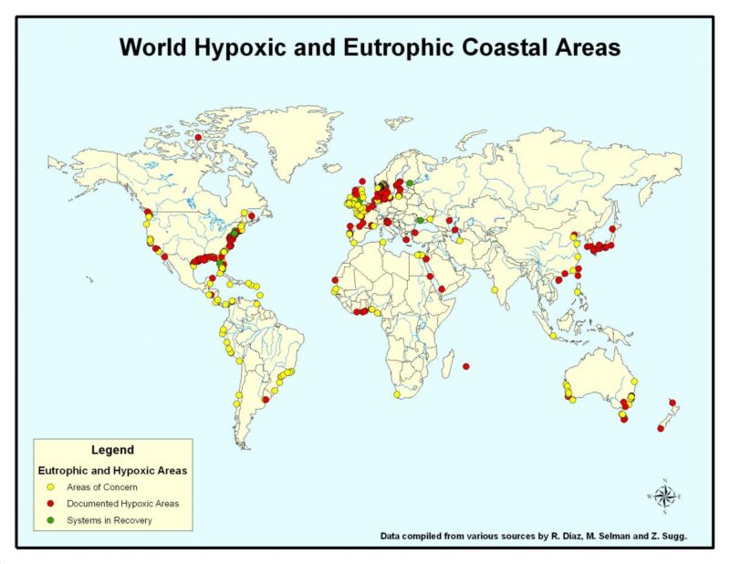 About Hypoxia – Gulf Hypoxia